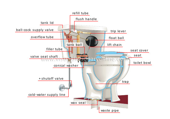 Toilet Bowl Parts Toilet Bowl Parts