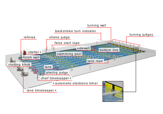 Olympic Swimming Pool Diagram Olympic Swimming Pool Diagram